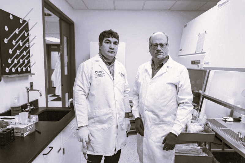 Fake Papers Are Contaminating the World's Scientific Literature and ...