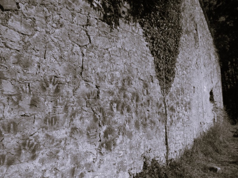 Prehistoric Fossil Teeth: How Humans Developed an Unusually Long Childhood