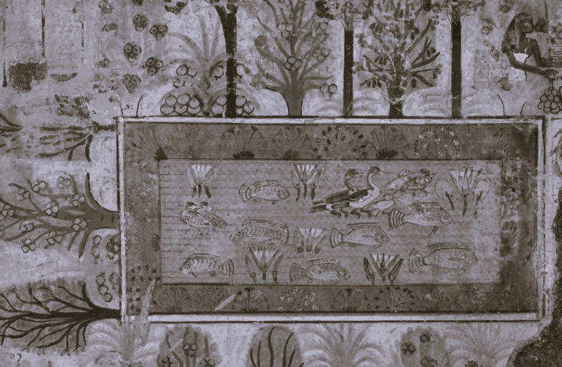 Ponds, Fruit, and Shade Trees in the Gardens of Ancient Egypt