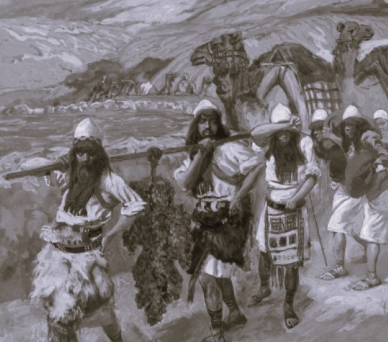 Religious Espionage: The Story of Moses and the 12 Spies in the Book of ...