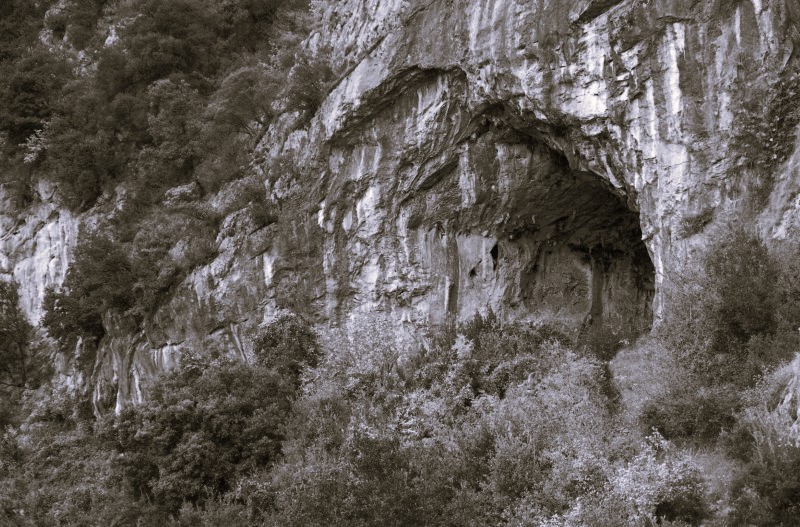 Flowers, Burials, and the Prehistoric Case of the 'Red Lady of El Miron'