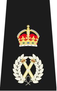 Shires, Sheriffs, and Shadows: The Backbone of Law Enforcement in ...