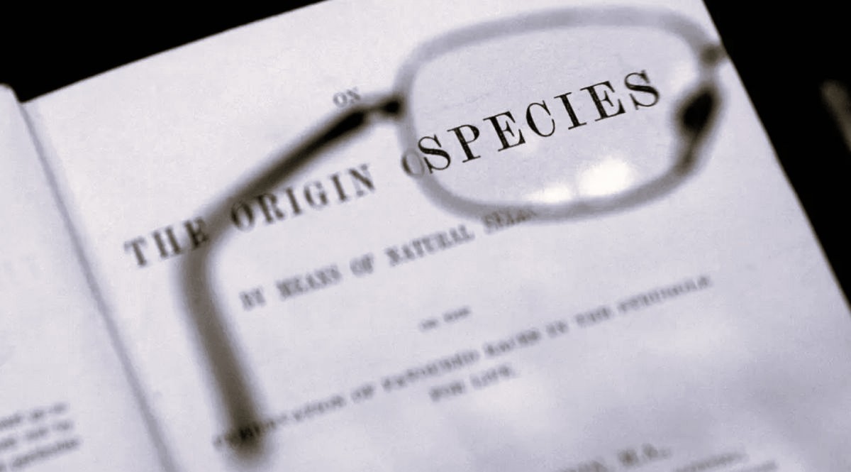 Addressing Arguments against Evolution