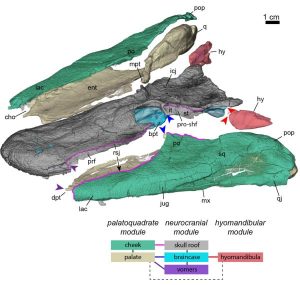 Addressing Arguments against Evolution