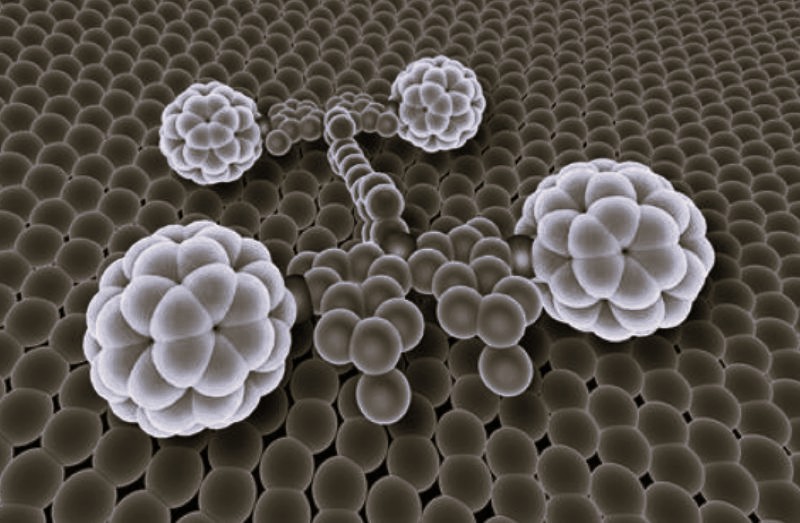 Addressing Arguments against Evolution