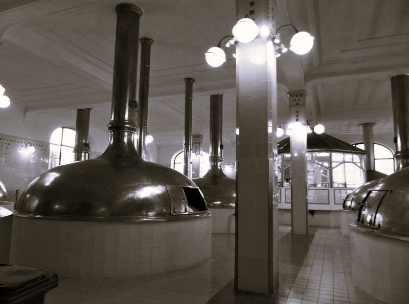 Climate Change Beer's Future: Rising Costs, Fading Flavors