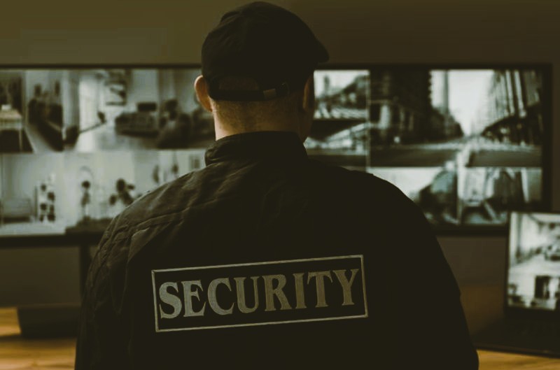 How Do You Start Your Own Security Company Successfully? Brewminate: A ...